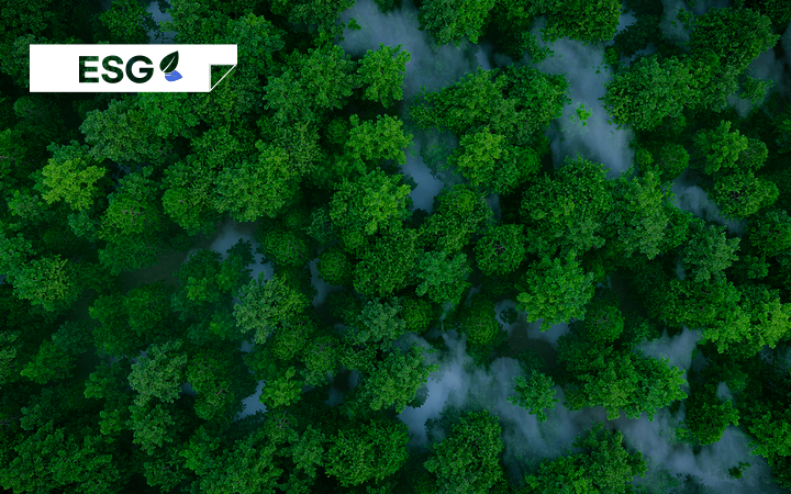 [ESG] 삼성SDI는 어떻게 기후 위기에 대응하고 있을까?